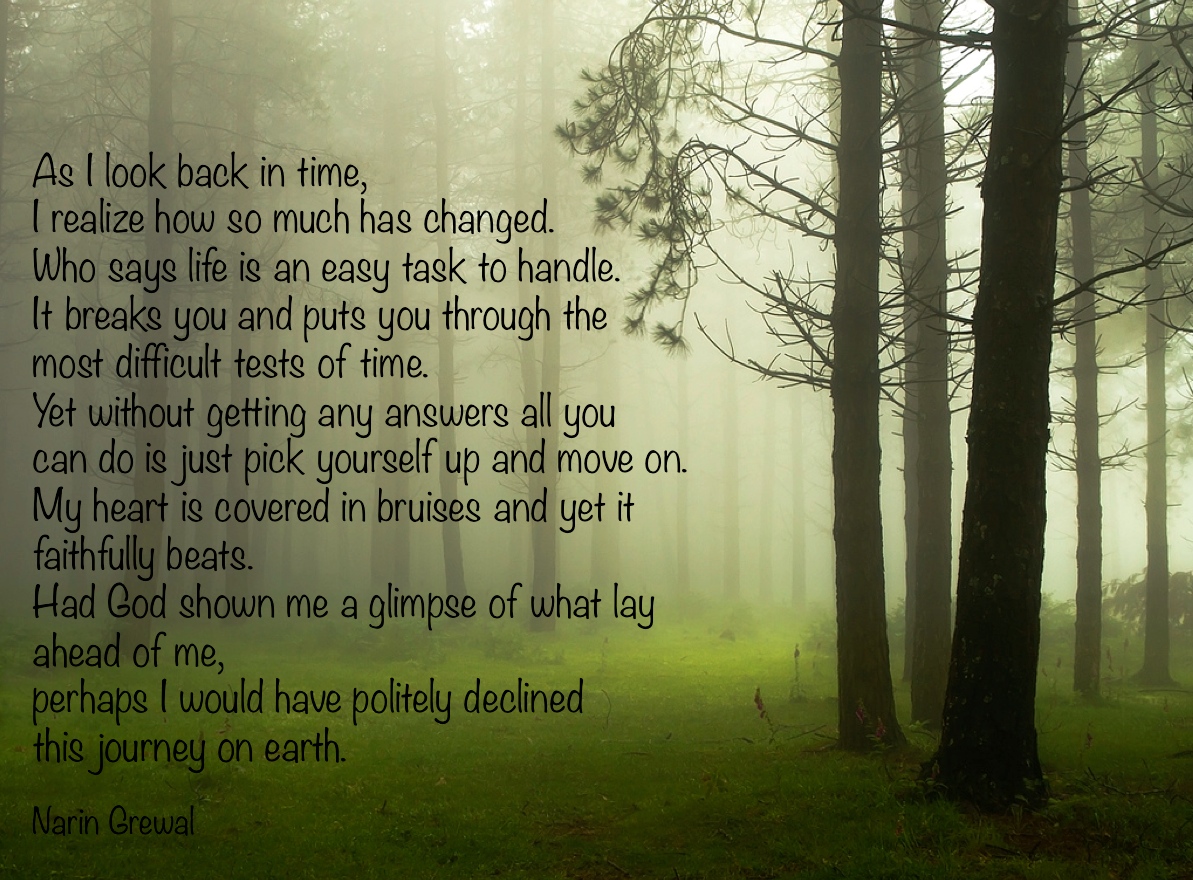 As I look back in time | The Grief Toolbox